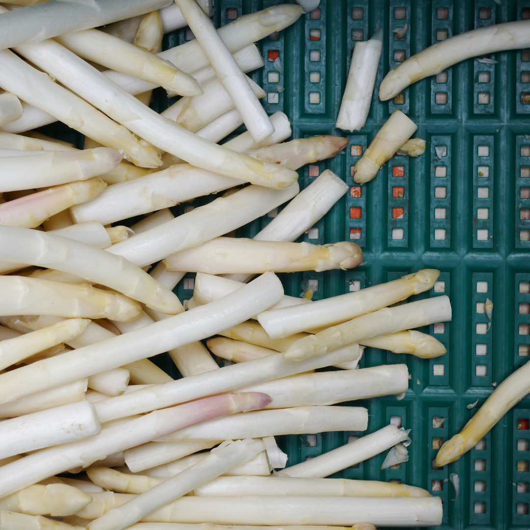 Waste2Taste: closing the cycle in food waste streams